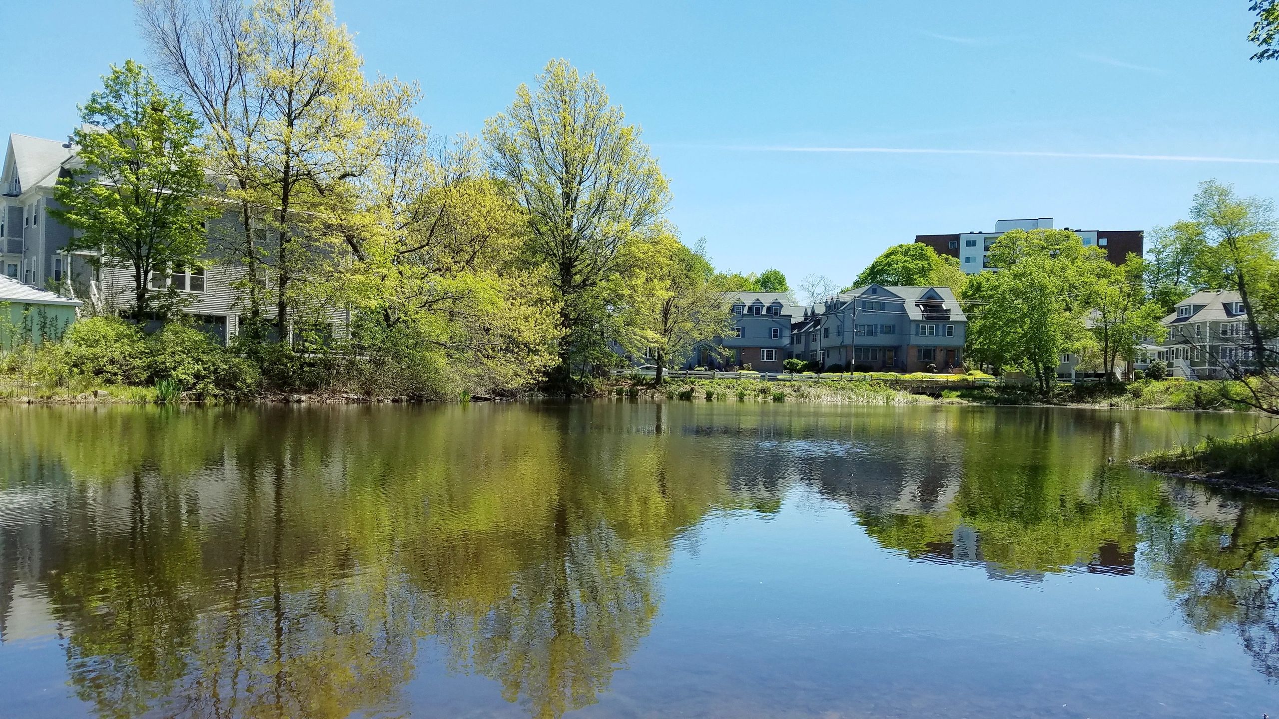 Friends of Butler's Pond