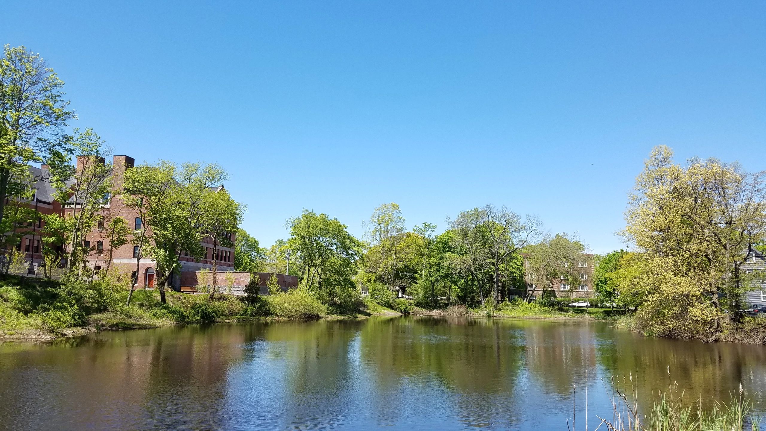 Friends of Butler's Pond