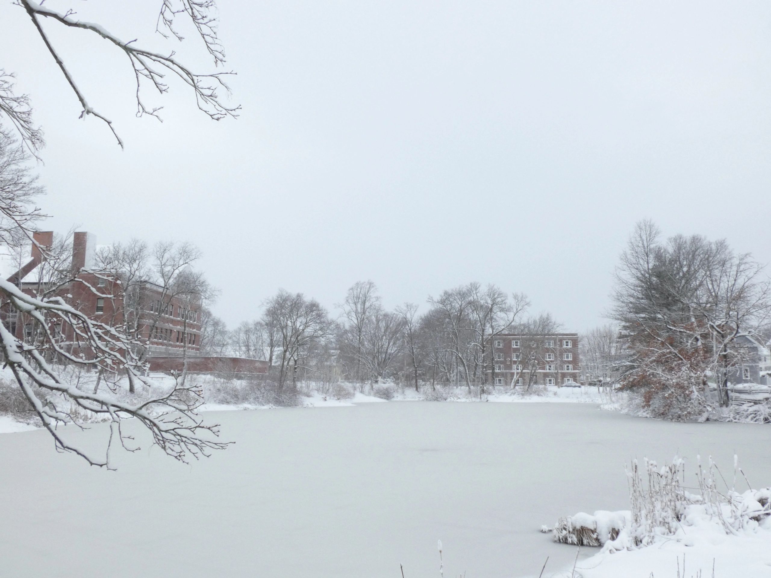 Friends of Butler's Pond