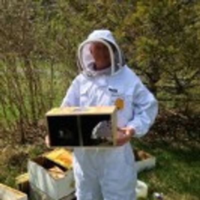 Mike's Beehives LLC - Beekeeping, Honey Bees, Bee Hives for Sale