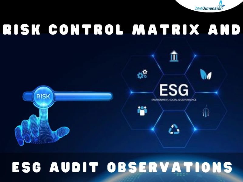 How does the Risk Control Matrix address ESG audit observations?