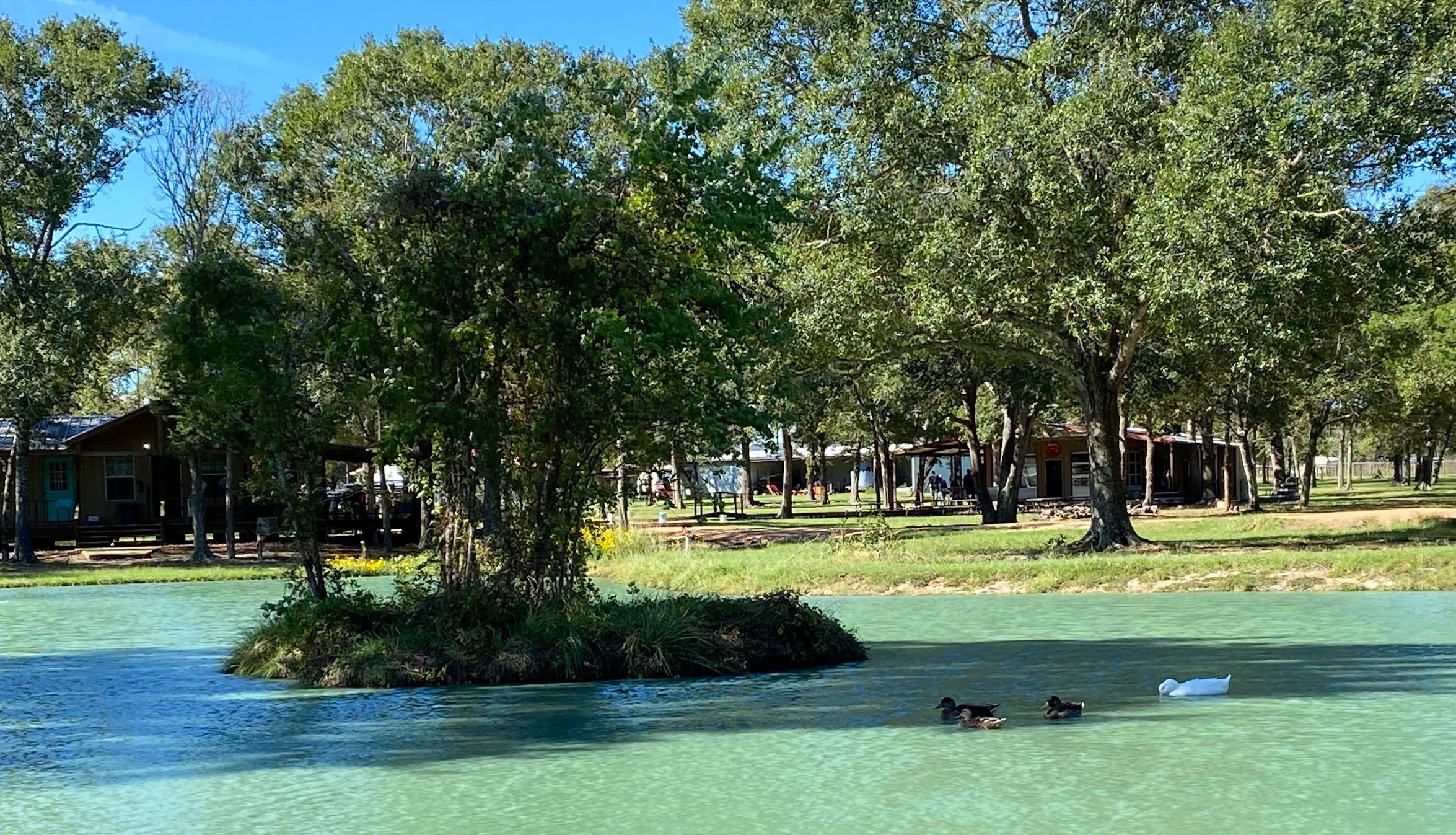 Experience the Ultimate Retreat at Jubilee Ranch Ministries