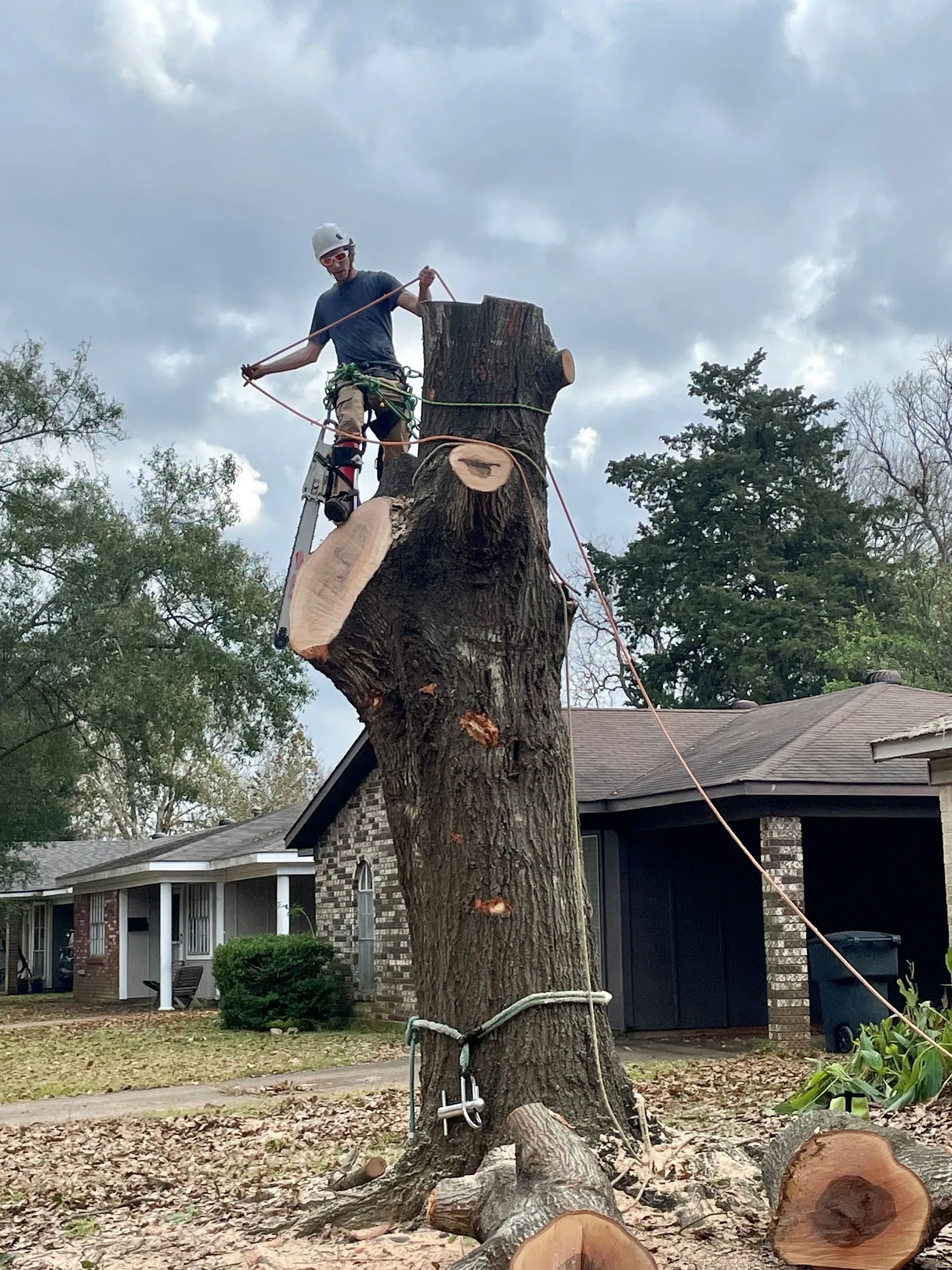 Rushing's Tree Care, LLC - Tree Service - Bossier City, Louisiana