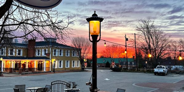 Bluebird Bakery - Lunch, Bakery, Scones Soup Salad