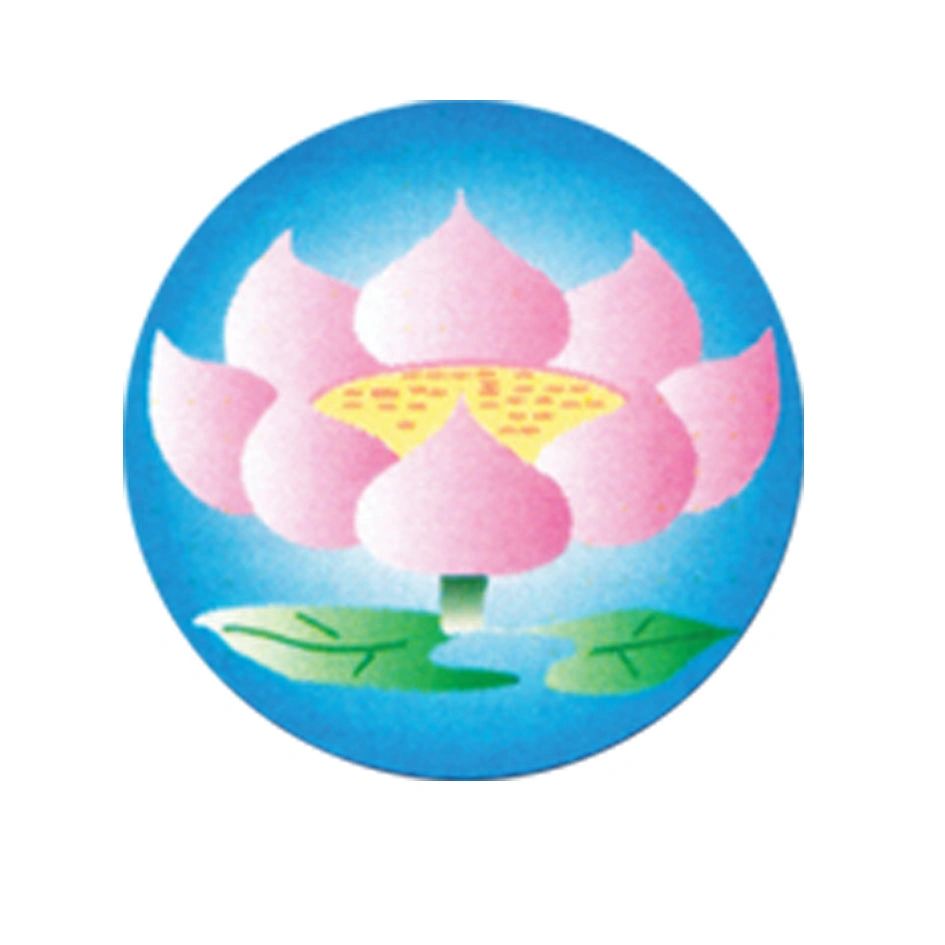 Saket Inter Co., Ltd. | Saket Inter Co., Ltd.