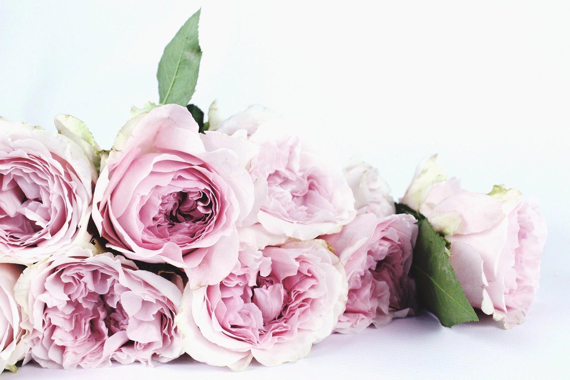 Trilogy Floral, LLC