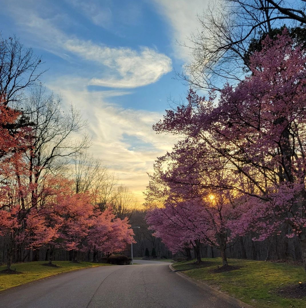 Eagle Bluff Homeowners Association Inc