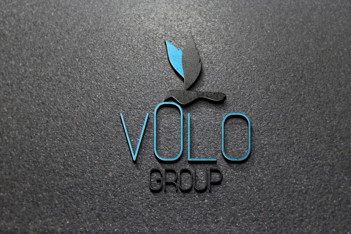 The Volo Group LLC