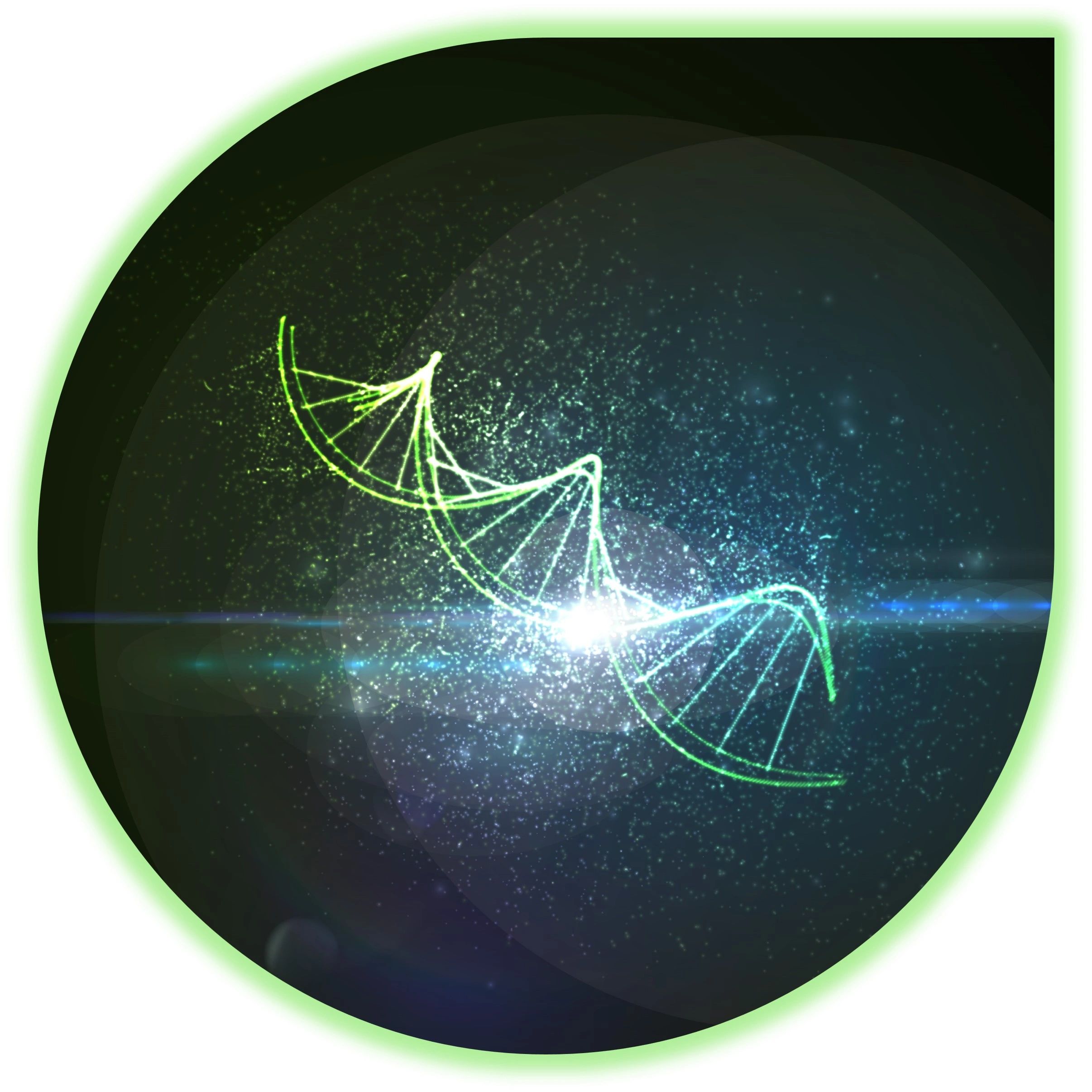 Alström Syndrome: A Rare Genetic Mutation Linked to Obesity