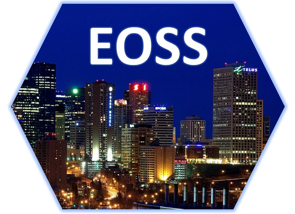 Edmonton Obesity Staging System: Telling More of the Story