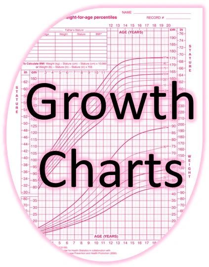 Childhood Obesity: Evaluating Growth Charts