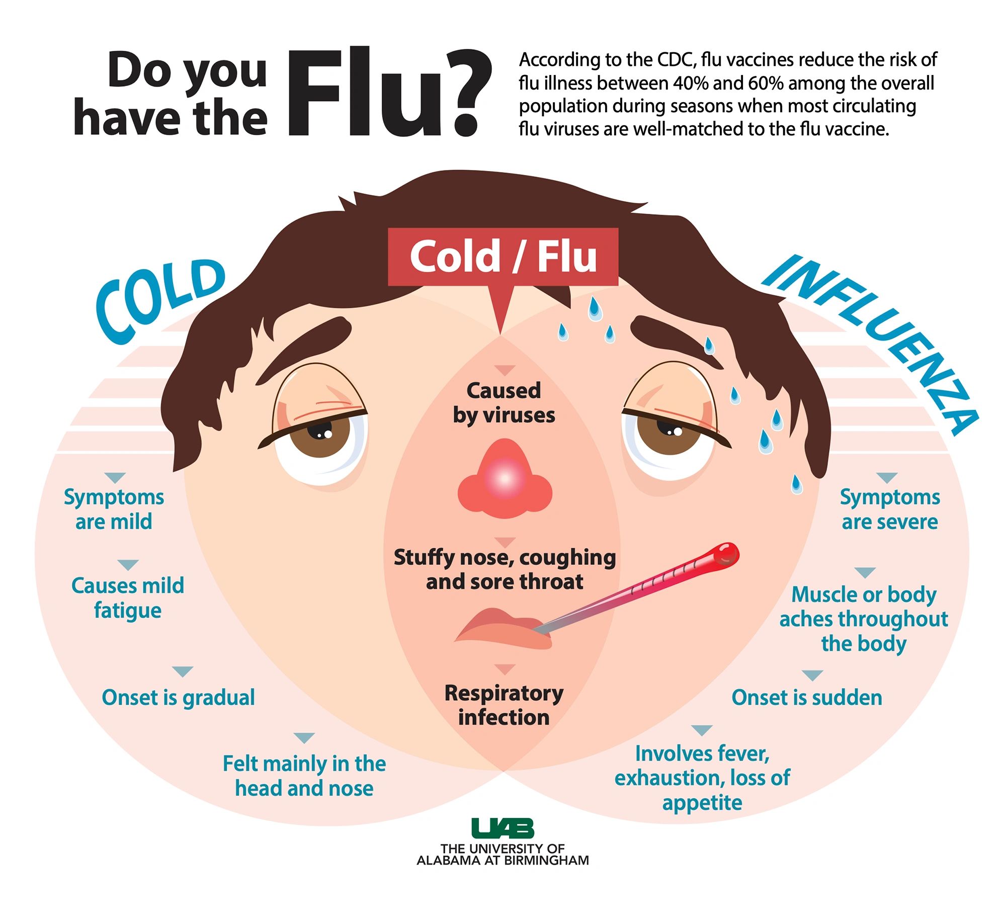 Cold And Flu Season
