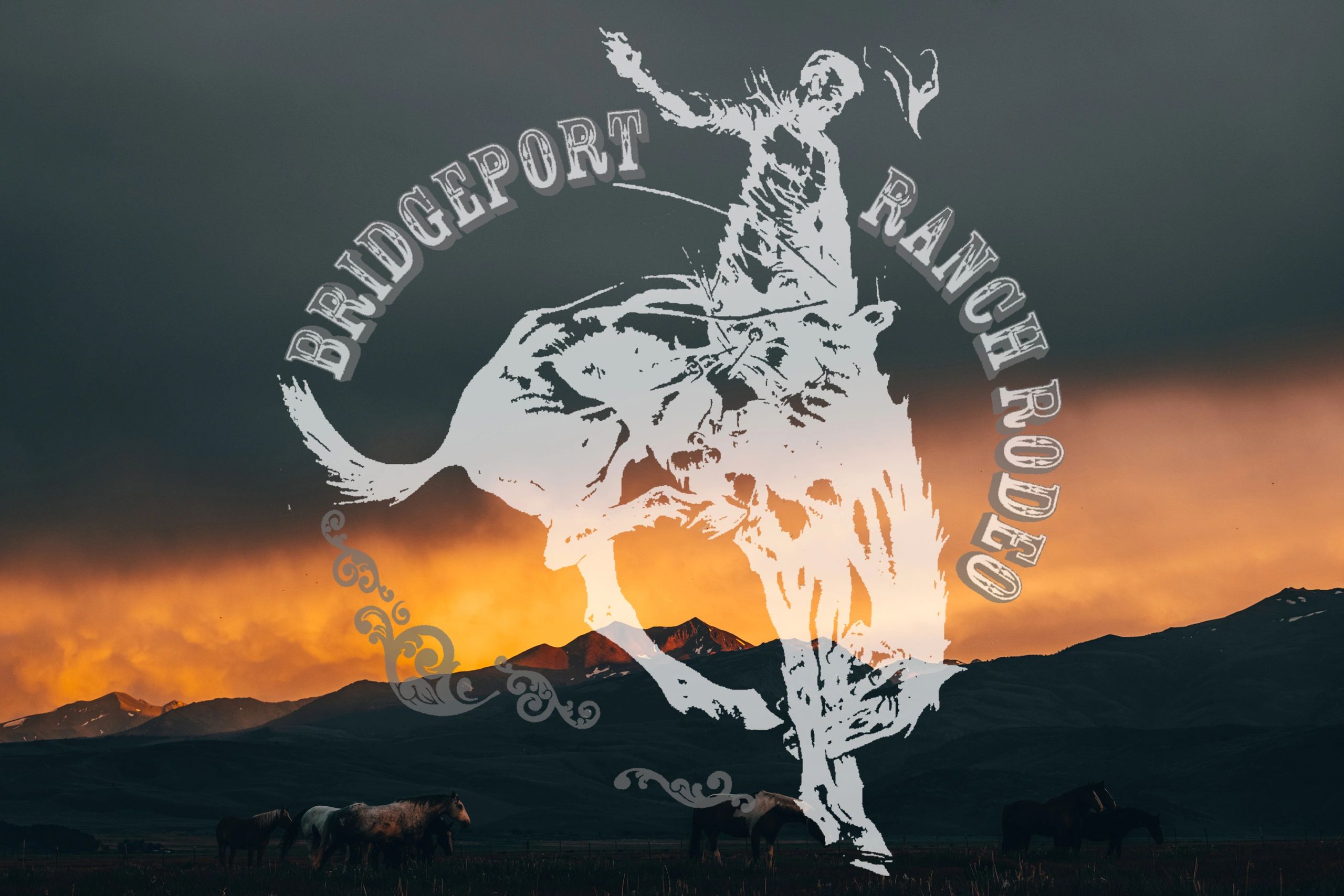 Bridgeport Ranch Rodeo - Home