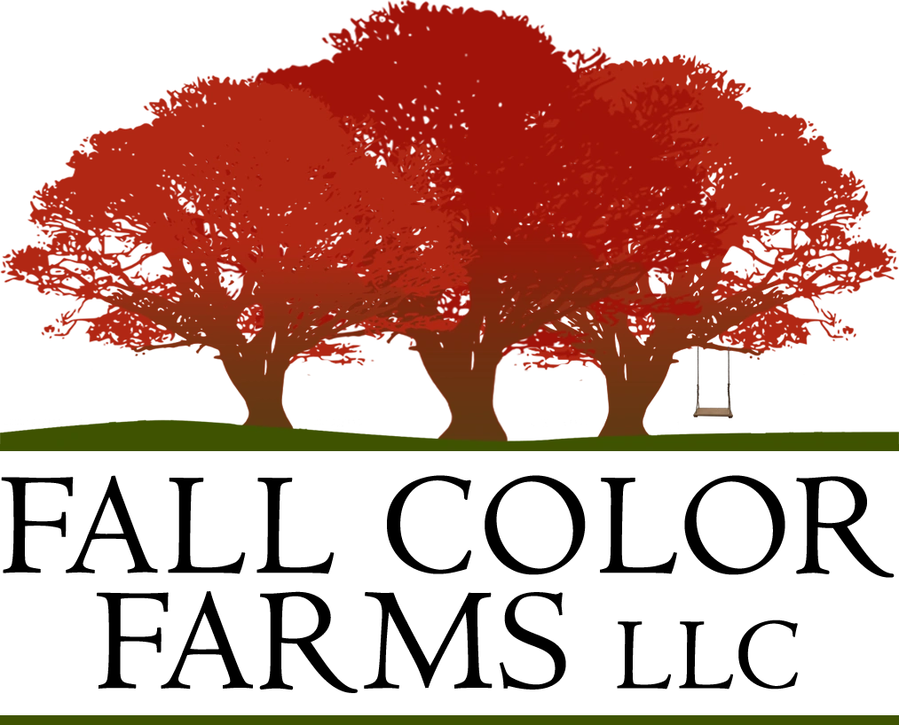 Fall Color Farms