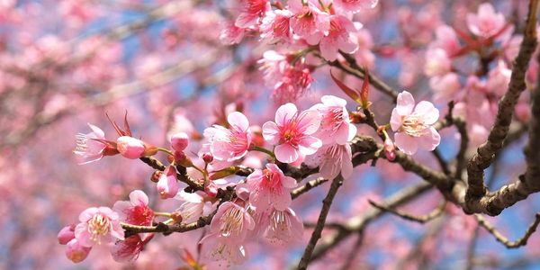 Joy Slattery Counselling P/L - Family Report, Family Reports