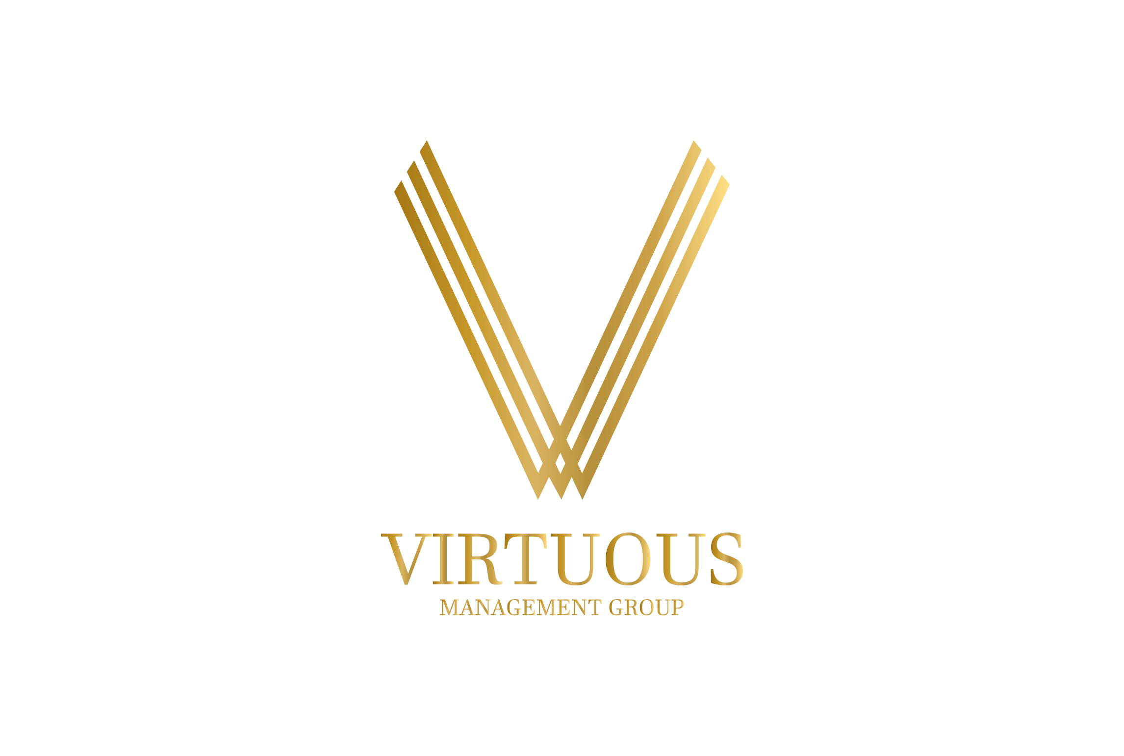 Virtuous Management Group - Consulting, Project Management
