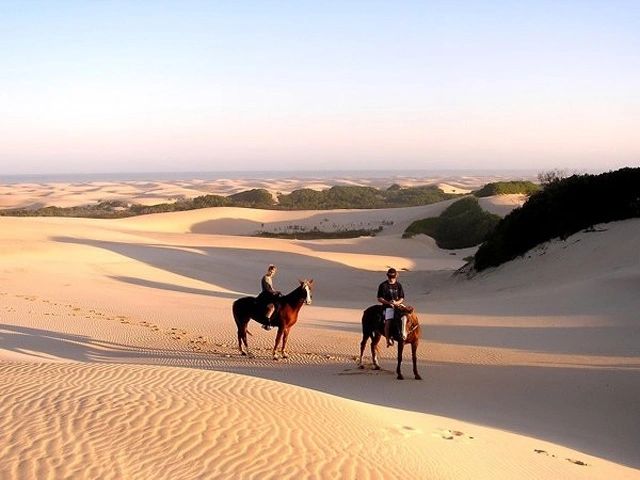 Our Top 10 Things to do in JBay when the Surf is Flat