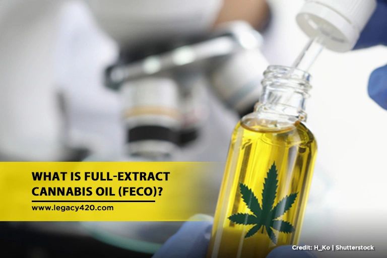 What Is Full-Extract Cannabis Oil (FECO)?