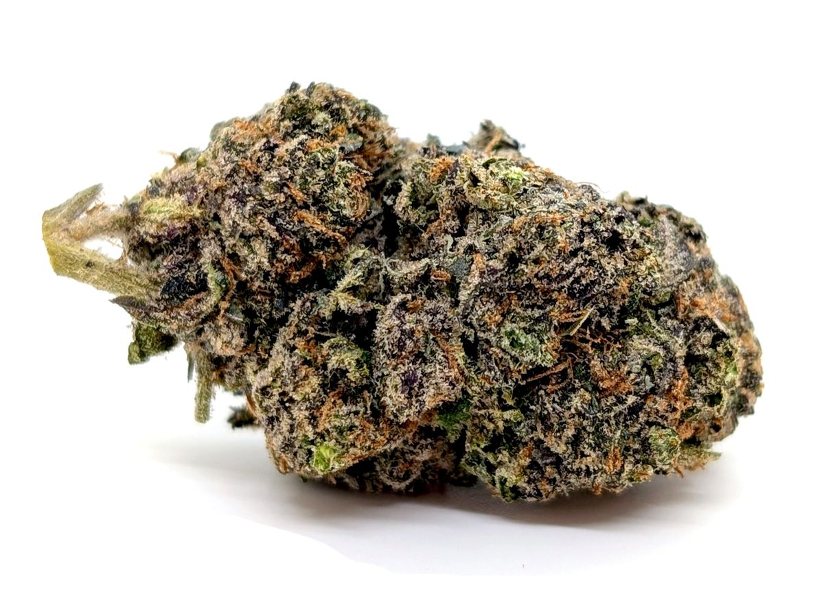 Pink Gelato #33