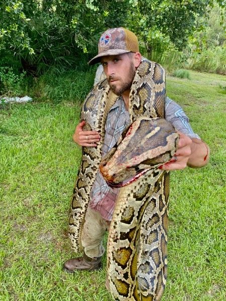 BCAHCC Member Mike Kimmel Captures Record Size Python