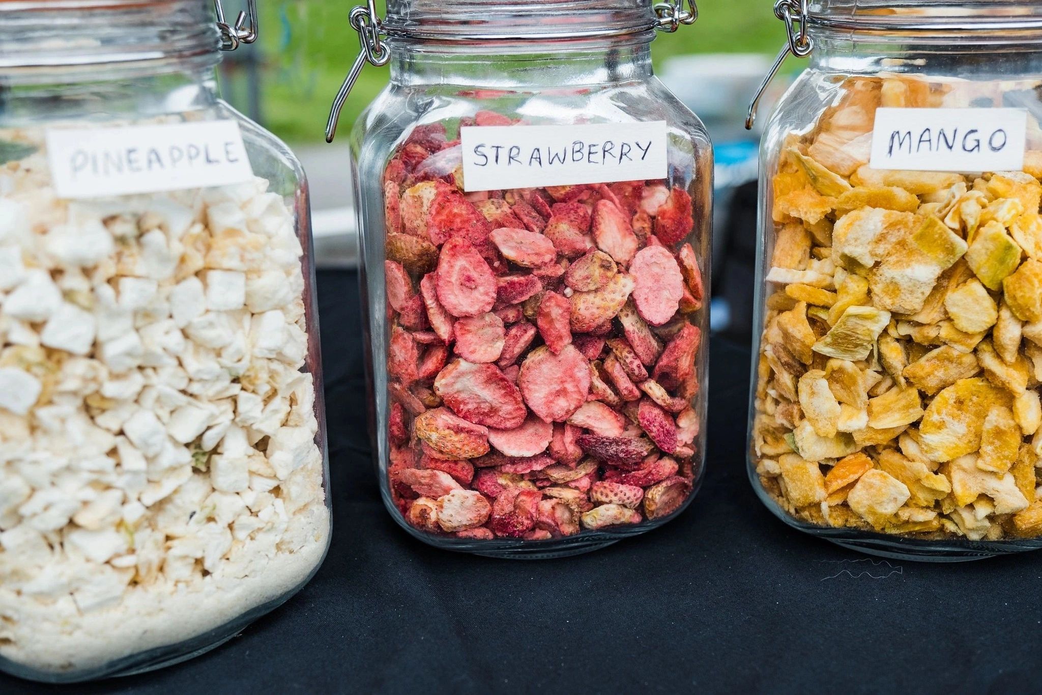 Freeze Dried Foods - High Quality and Convenient | freeze factory