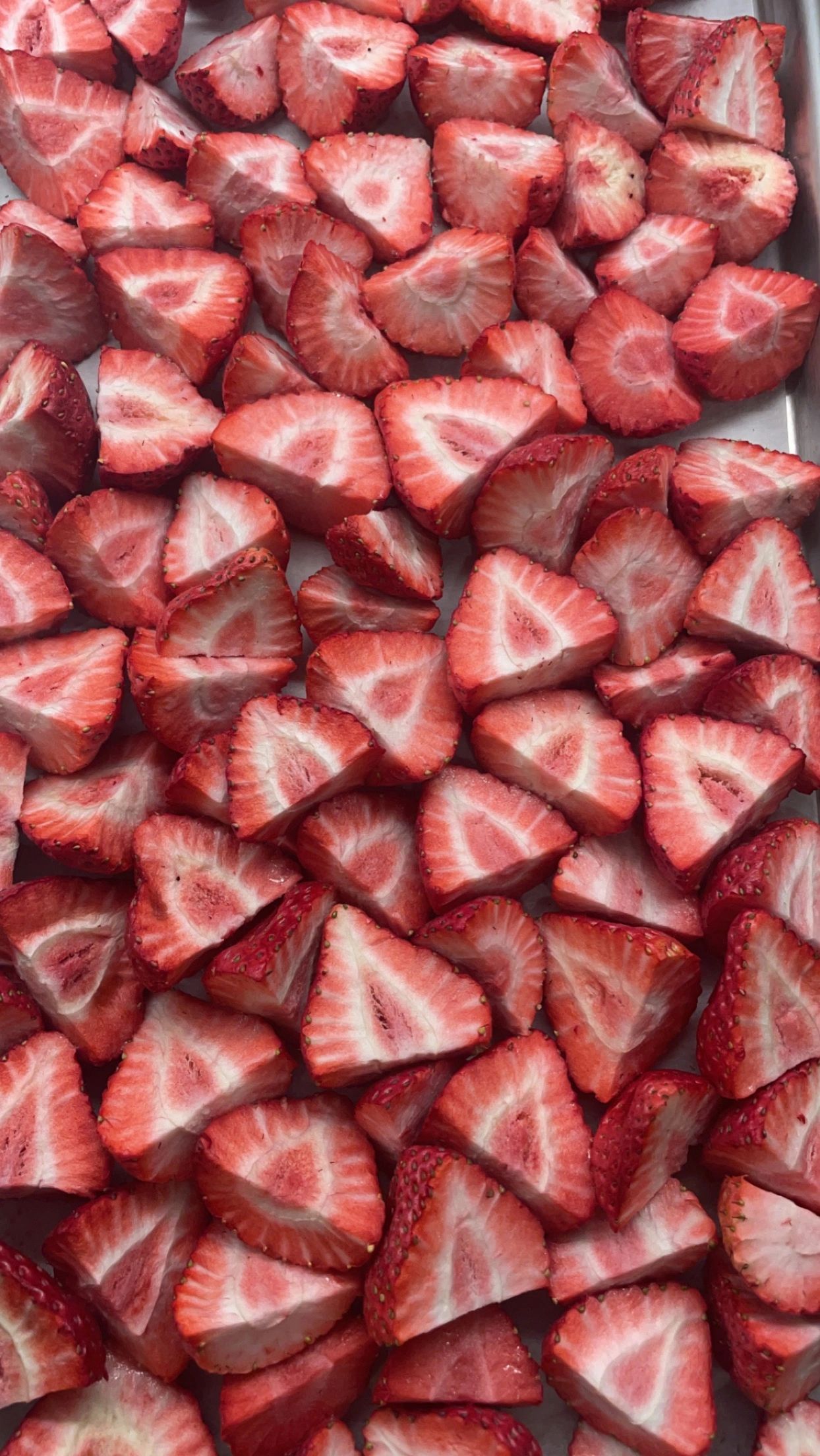 Freeze Dried Foods - High Quality and Convenient | freeze factory