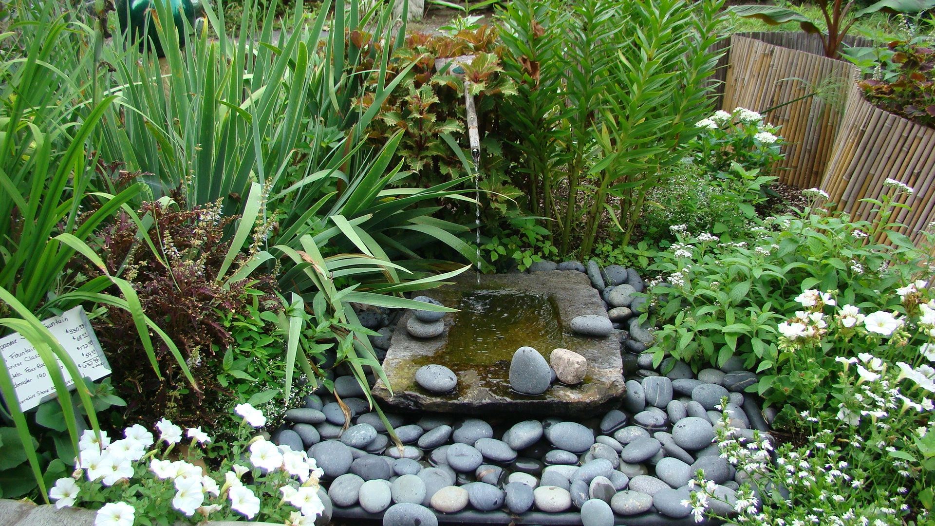 Pond Care Helpful Hints