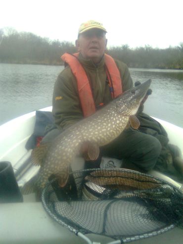Guided Pike Fishing Trips Norfolk Broads - Broadland pike trips