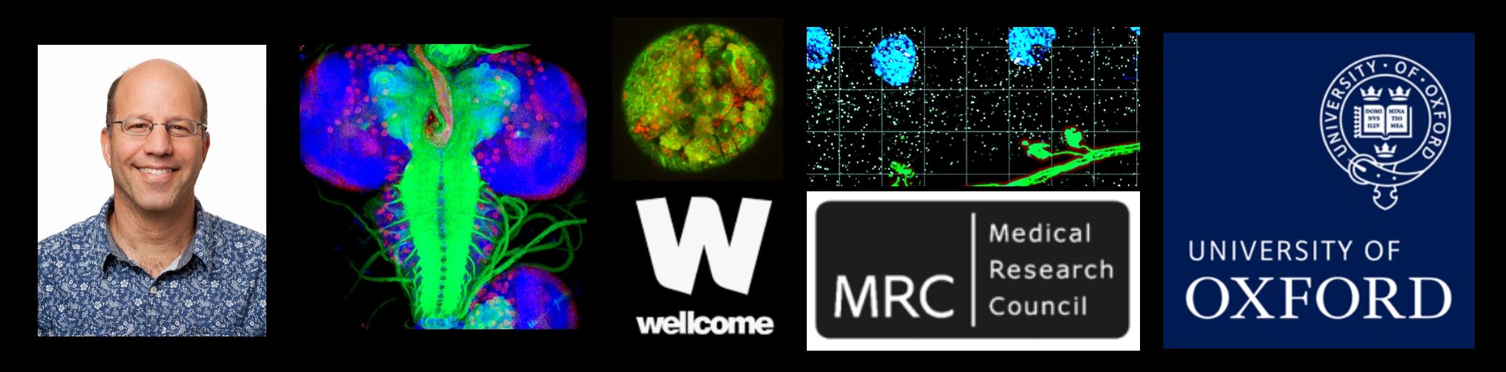 Manuel Garcia Moreno | Davis Lab