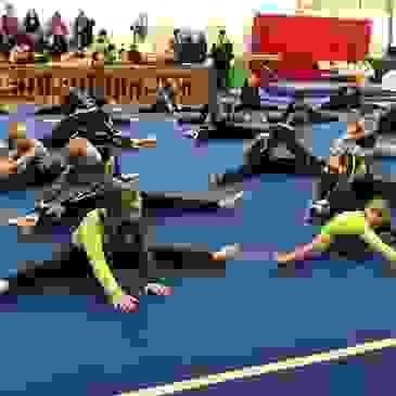 Fliptastics - Gymnastics, Gymnastics in Fitchburg, Birthday Parties