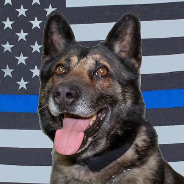 Staff | Thayer Police Department