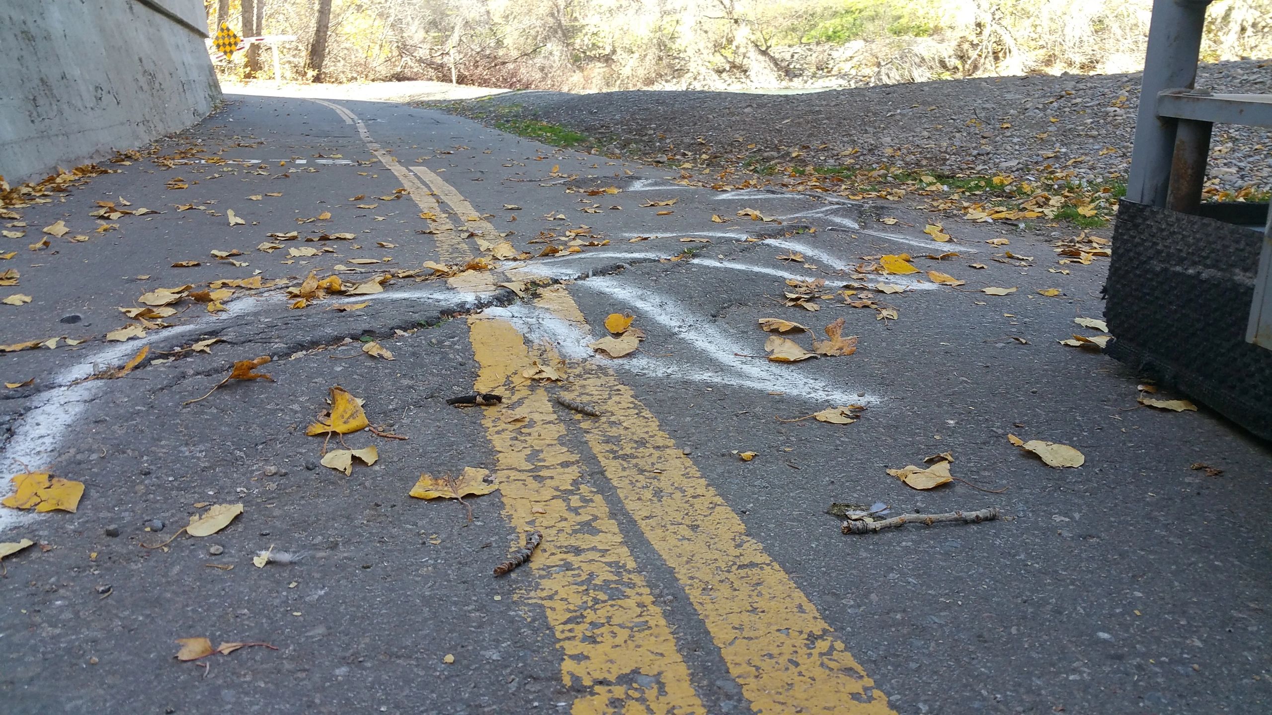 Flat Paths - Cart and Walking Path, Path Smoothing