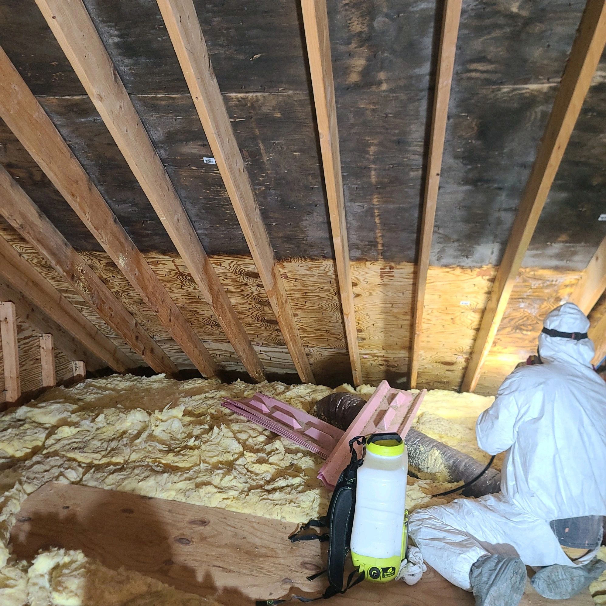 Mold Extraction NEPA LLC - Mold Testing, Mold Inspection, Mold Removal ...