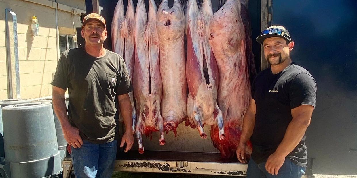 Ranch Butchering