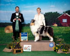 Brags | Overland Collies