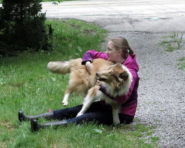 Photos | Overland Collies