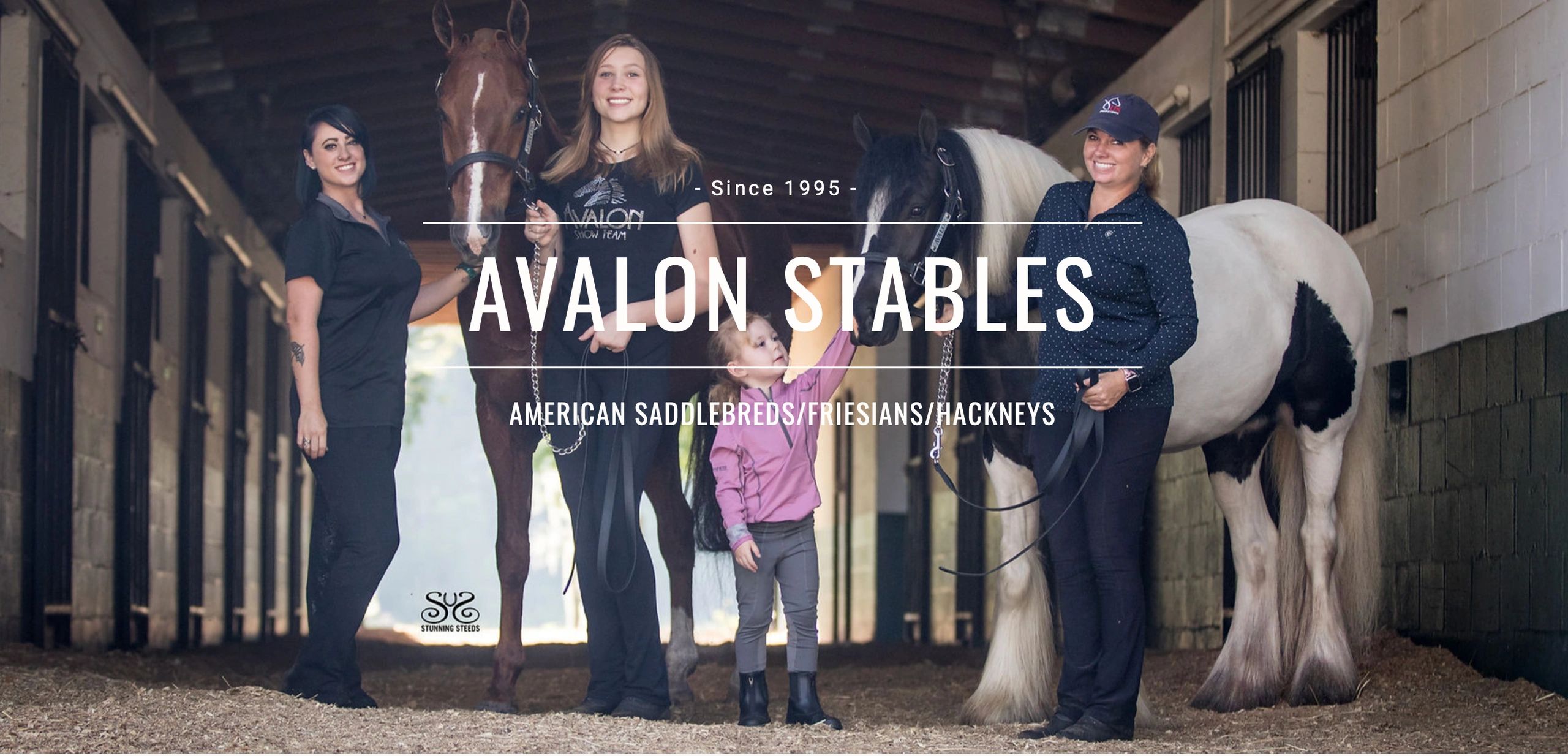 Avalon Stables: Premier Horse Farm in Lutz, FL - Avalon Family ...
