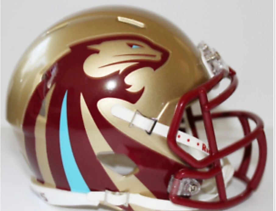 2022 USFL Michigan Panthers Custom Riddell Mini Helmet