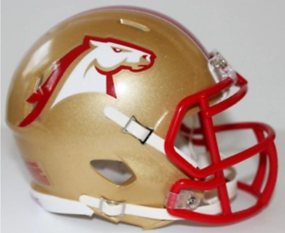 2022 USFL Birmingham Stallions Custom Riddell Mini Helmet