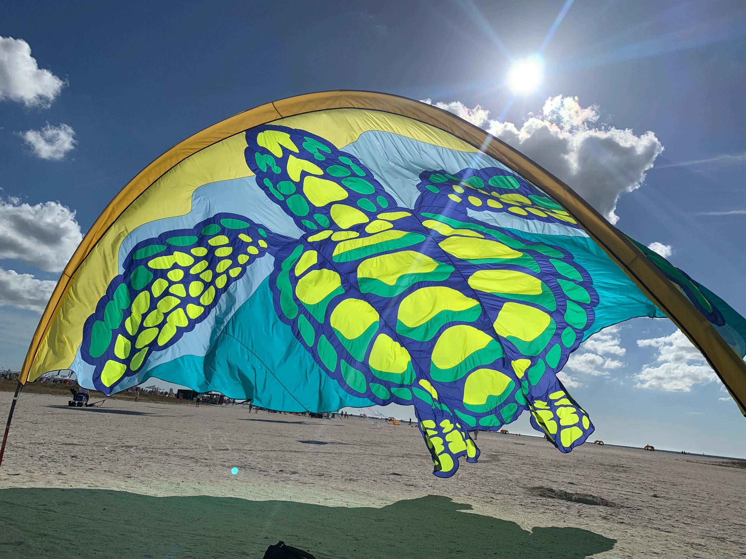 Canopies - Floshades-wind powered sunshades and kites