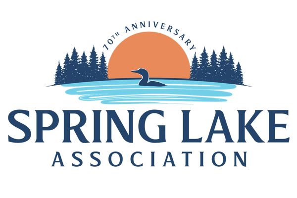 Spring Lake Association