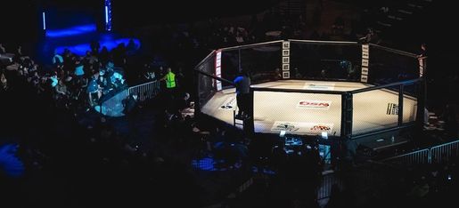 HOME [stellarfightsmma.com]