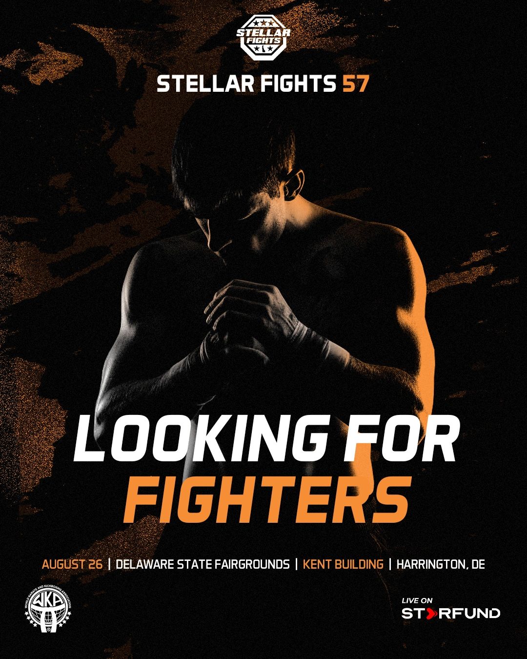 HOME [stellarfightsmma.com]