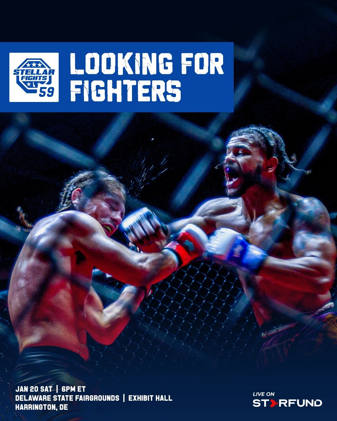 HOME [stellarfightsmma.com]