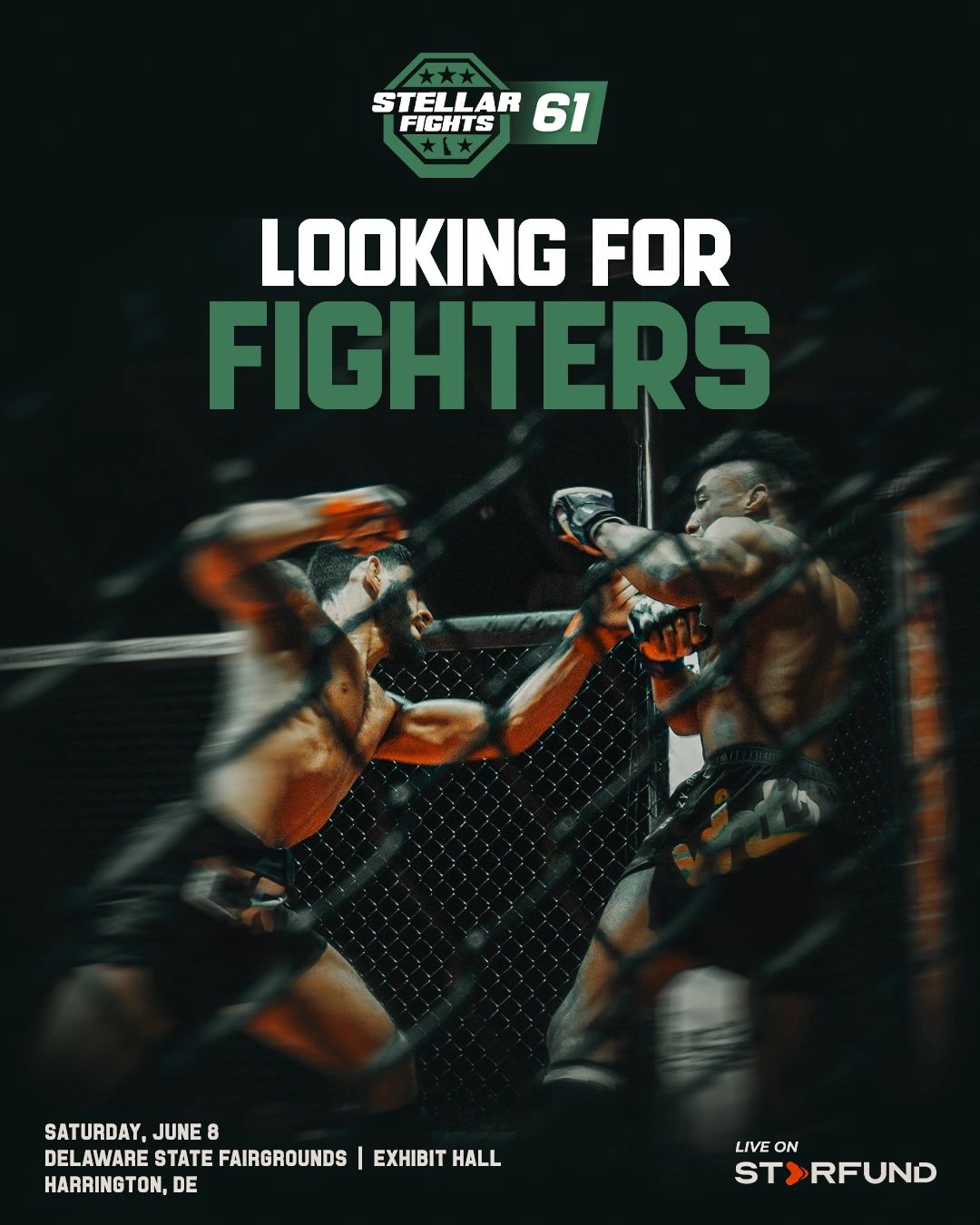 HOME [stellarfightsmma.com]