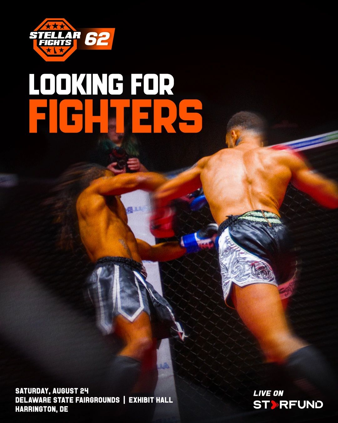 HOME [stellarfightsmma.com]