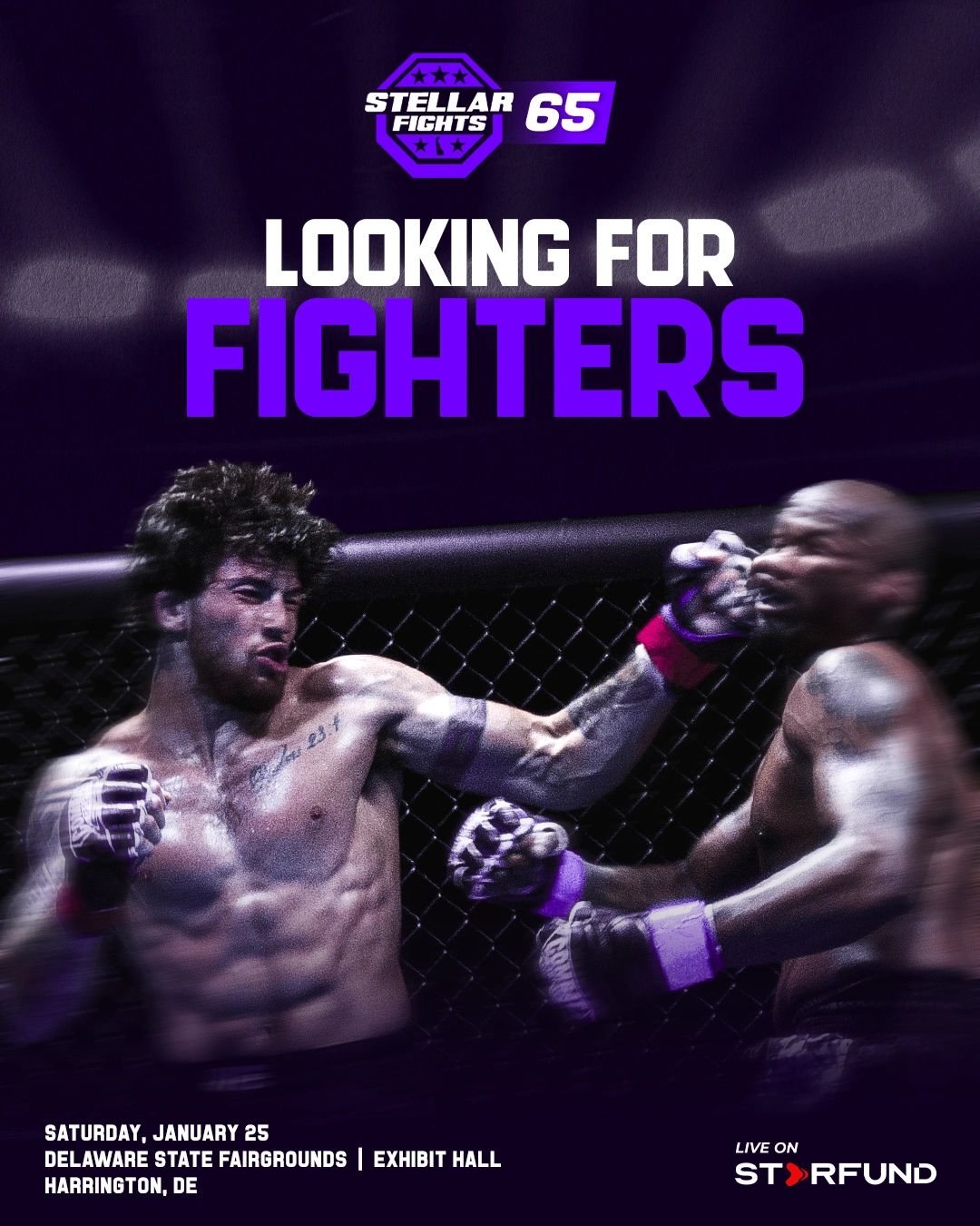 HOME [stellarfightsmma.com]