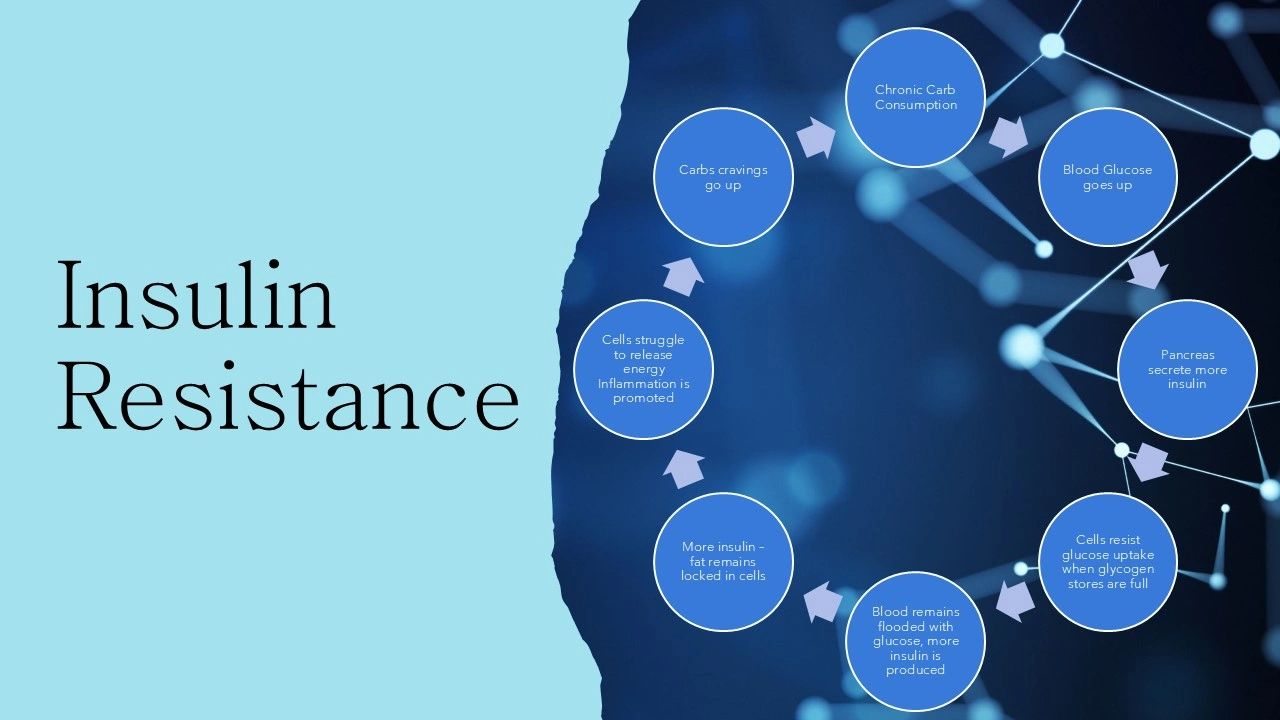 Understanding Insulin Resistance