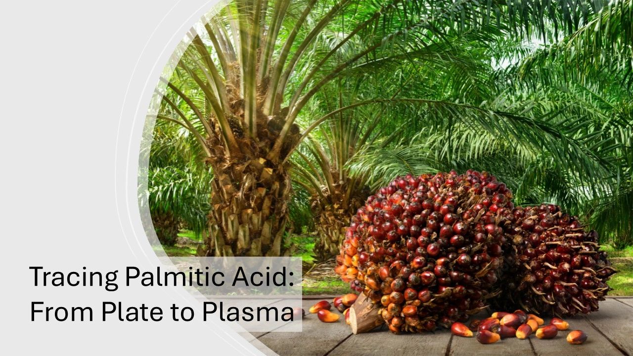 Tracing Palmitic Acid: From Plate to Plasma