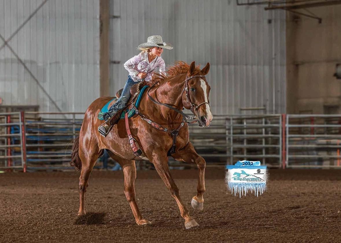 Valley Veterinary Clinic